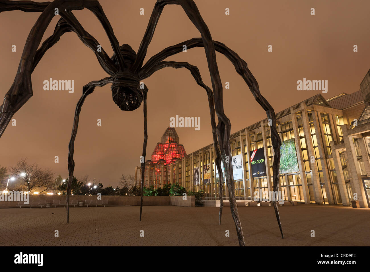 Spider gallery hi-res stock photography and images - Alamy