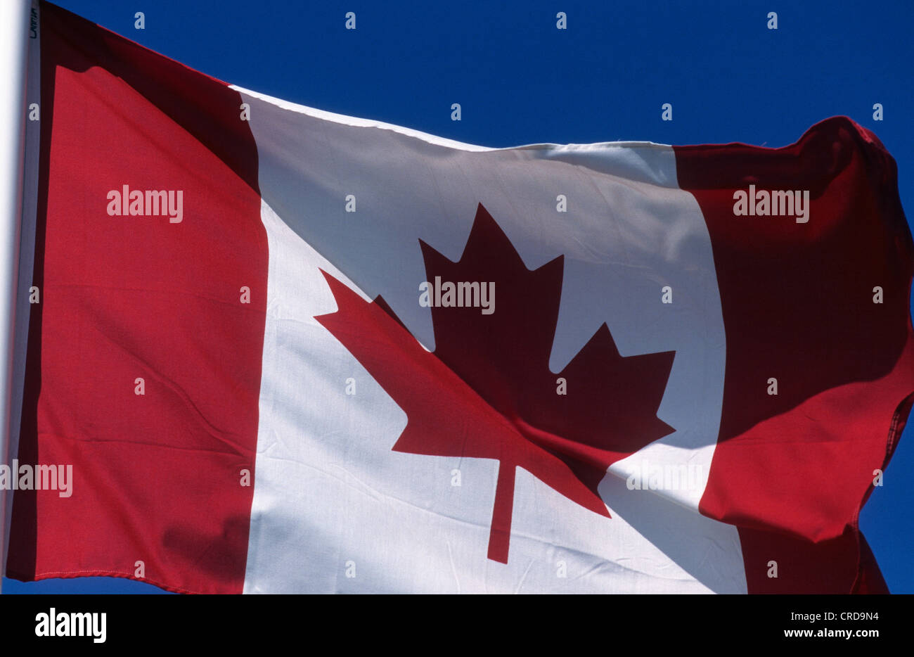 The national flag of Canada Stock Photo - Alamy