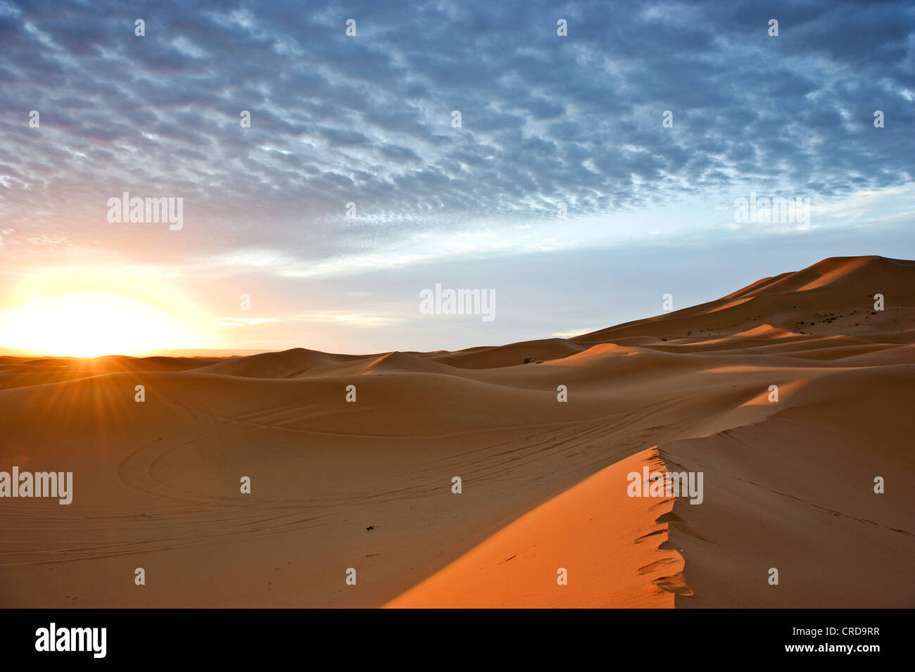 Sahara Desert At Sunrise