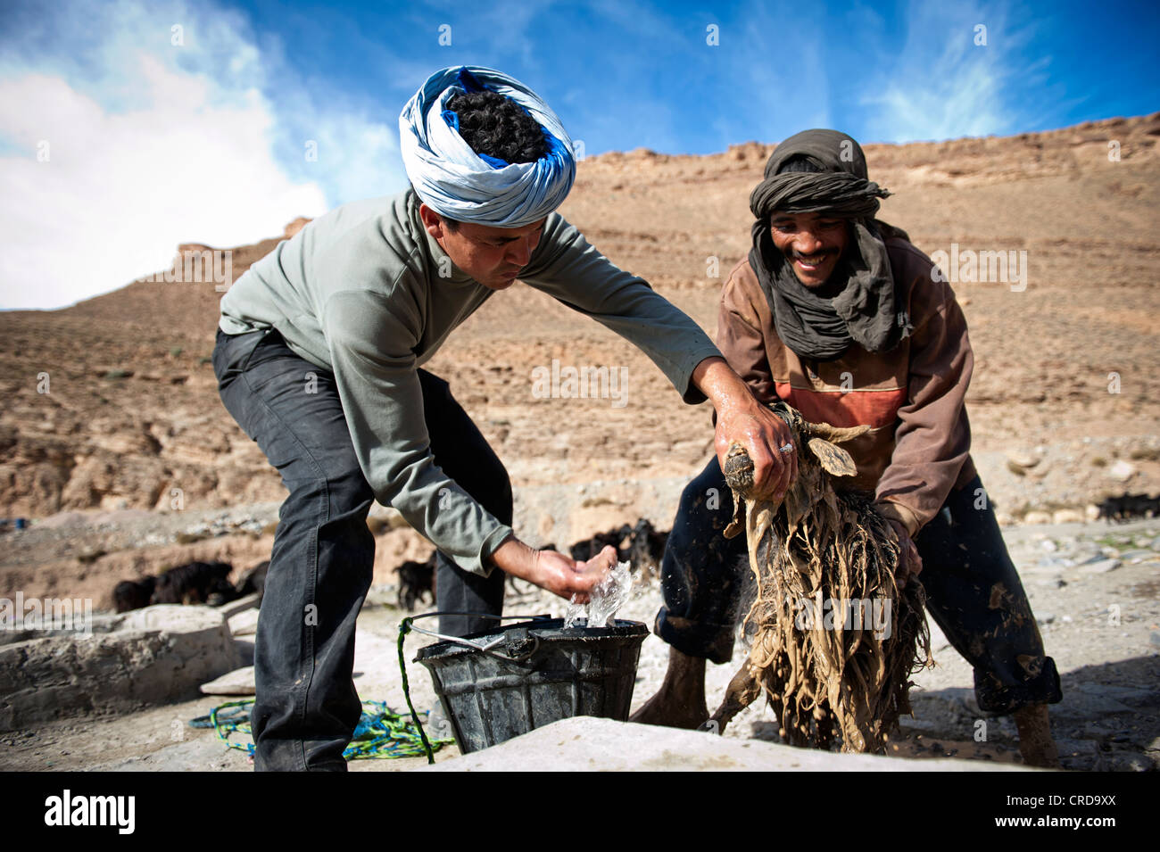 Berber morocco goat herder hi-res stock photography and images - Alamy