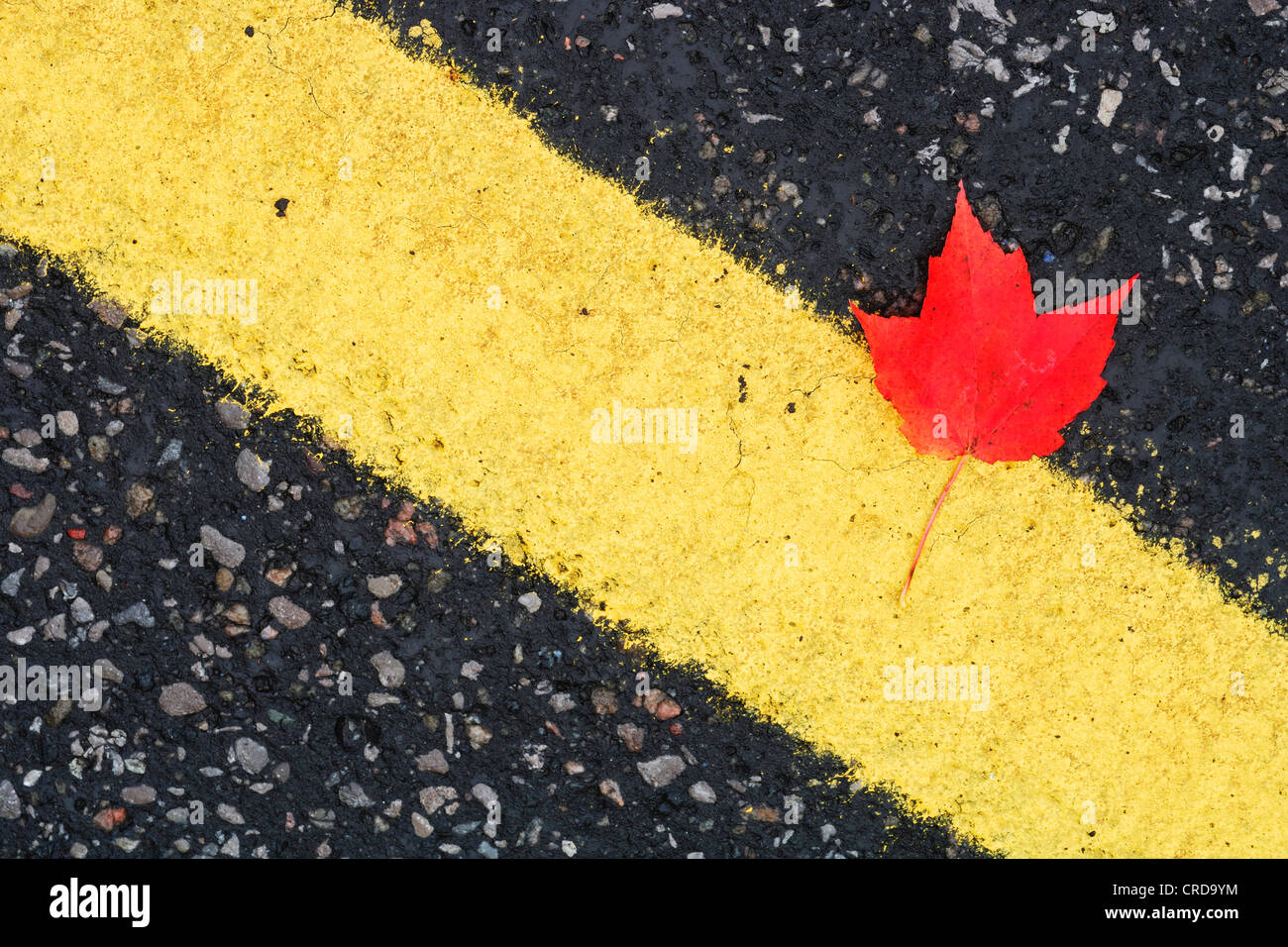 Maple roads hi-res stock photography and images - Alamy