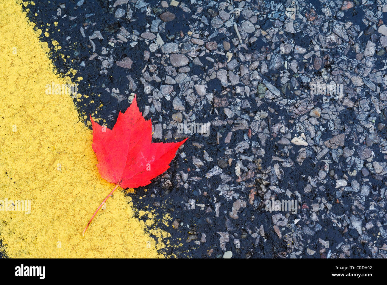 Maple roads hi-res stock photography and images - Alamy