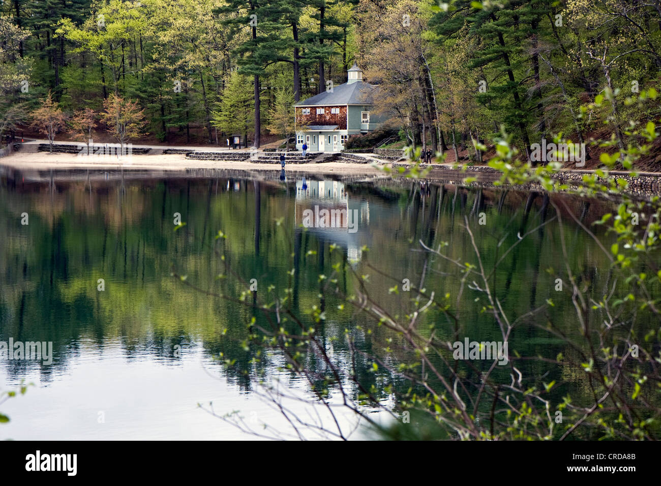 Walden Pond Massachusetts Stock Photos & Walden Pond Massachusetts ...