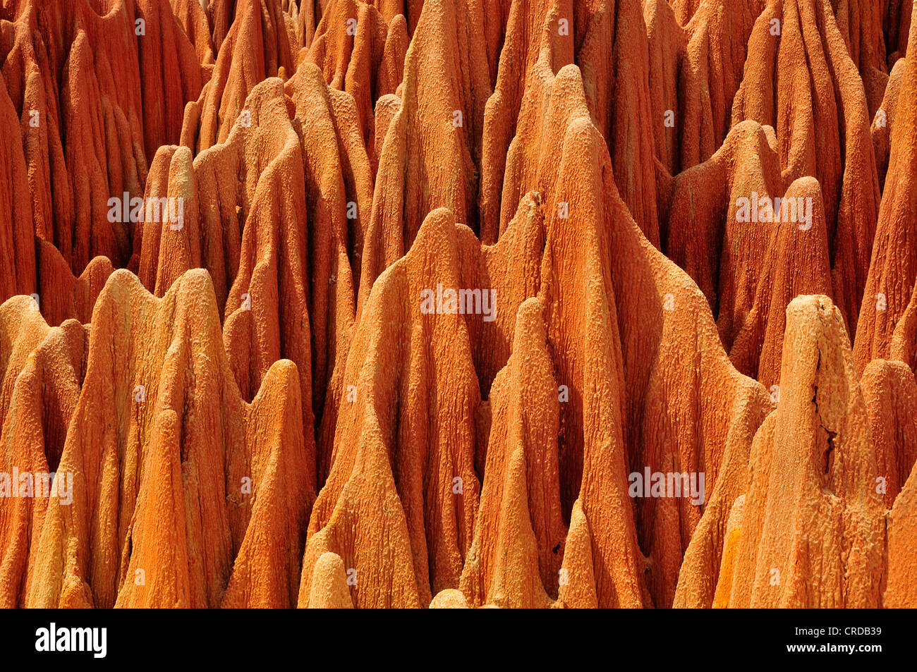Sandstone formations of the Tsingy Rouge in the north of Madagascar ...