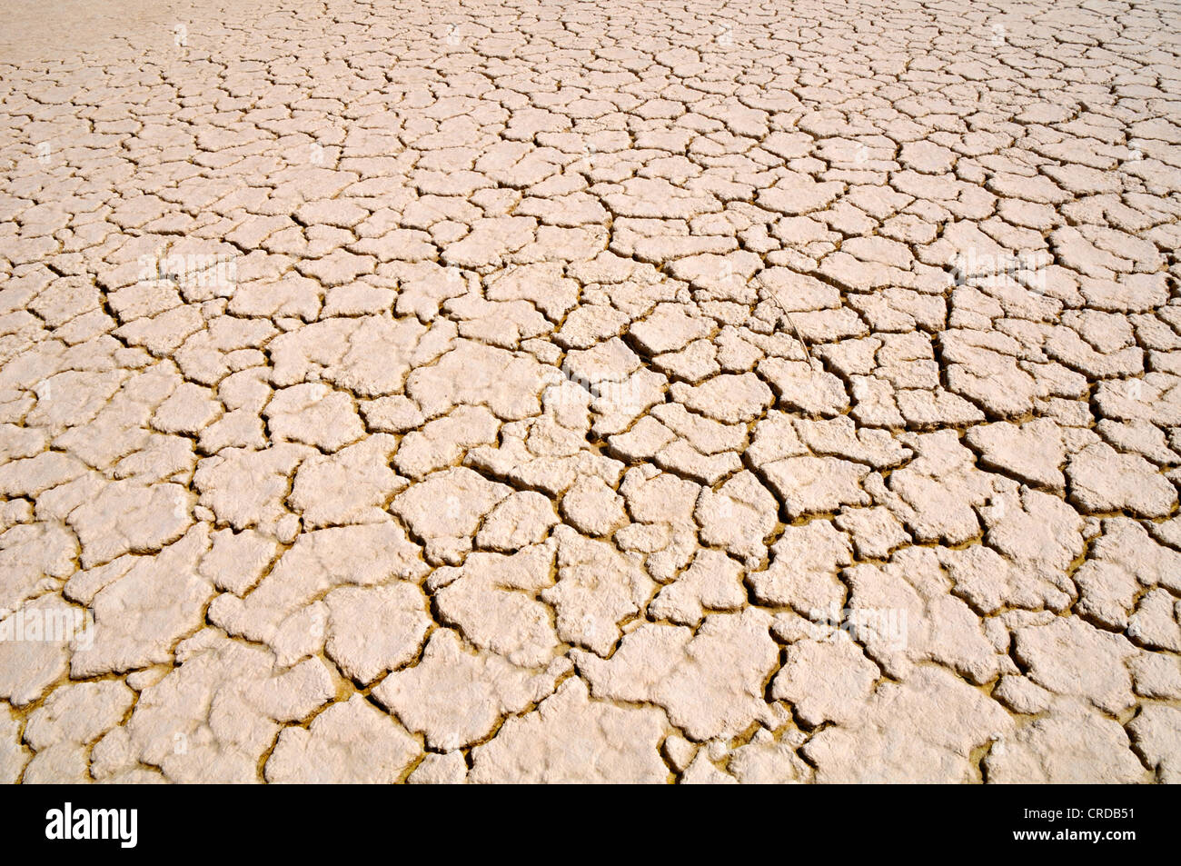 Mud soil, parched, south of Madagascar, Africa, Indian Ocean Stock ...