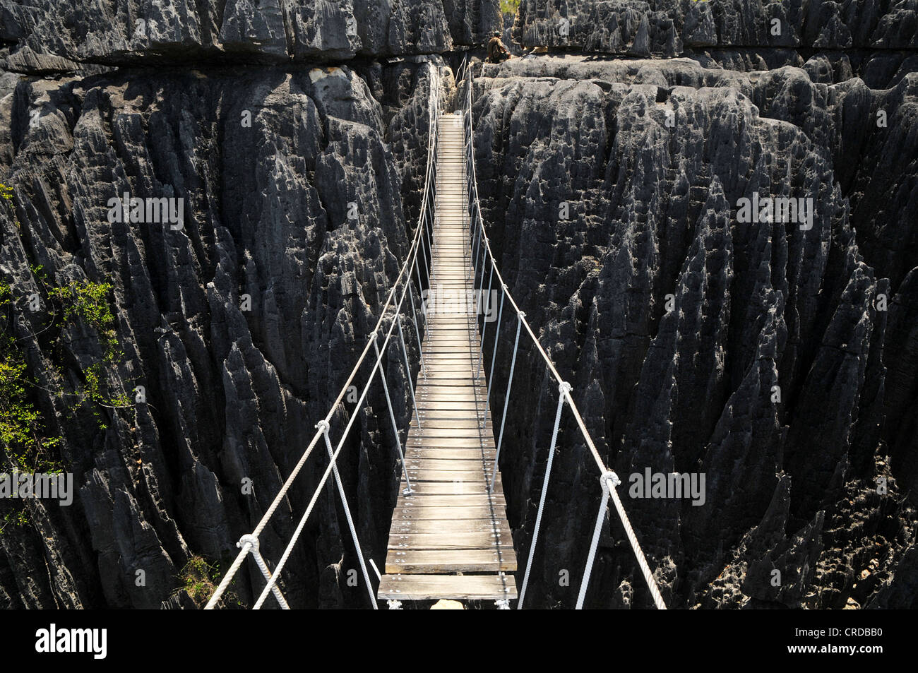 Suspension bridge in the Tsingys of Bemaraha, limestone formations ...