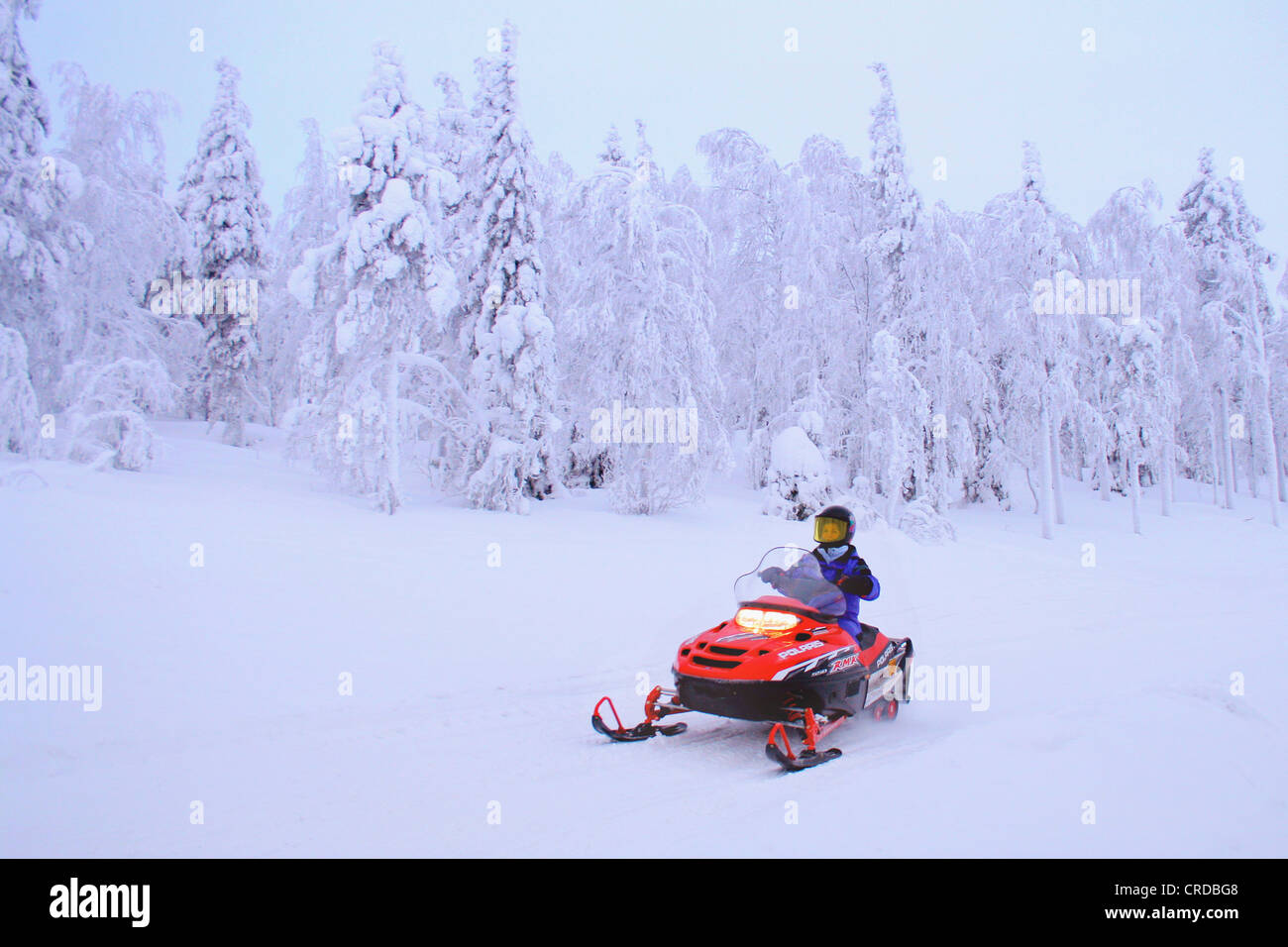 Snow mobile in winterforest Levi, Finland, Lapland Stock Photo - Alamy