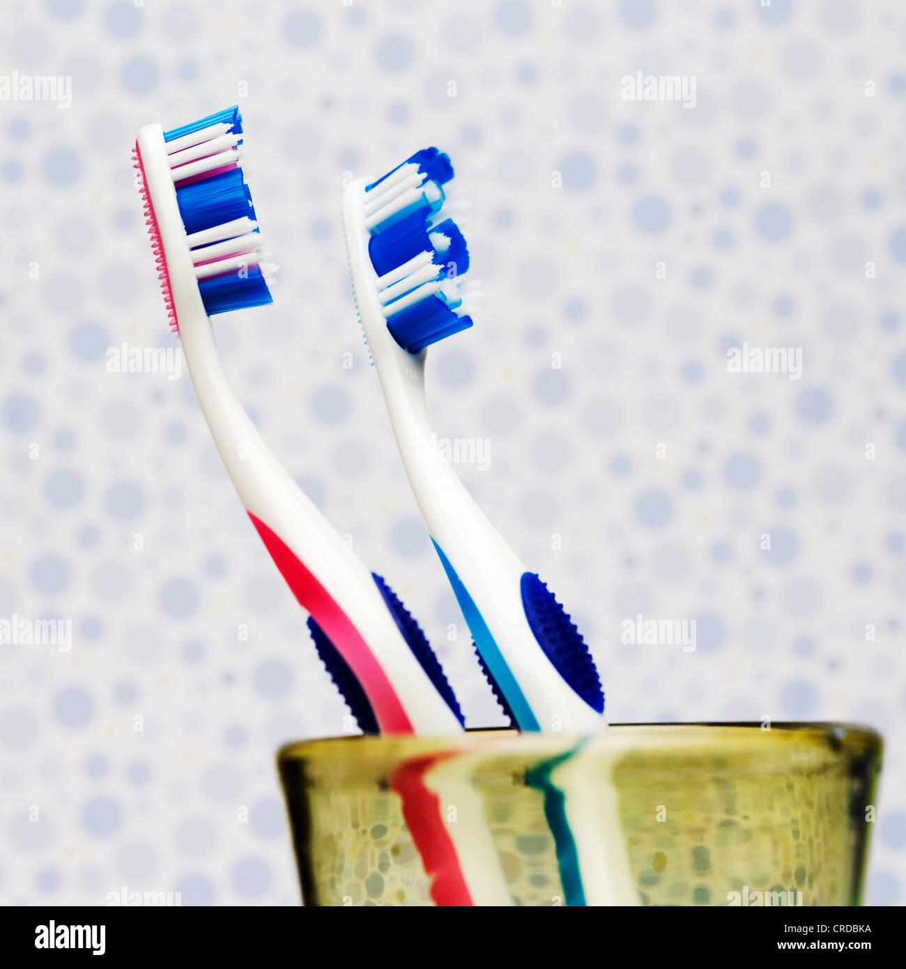 Toothbrushes in a cup Stock Photo - Alamy