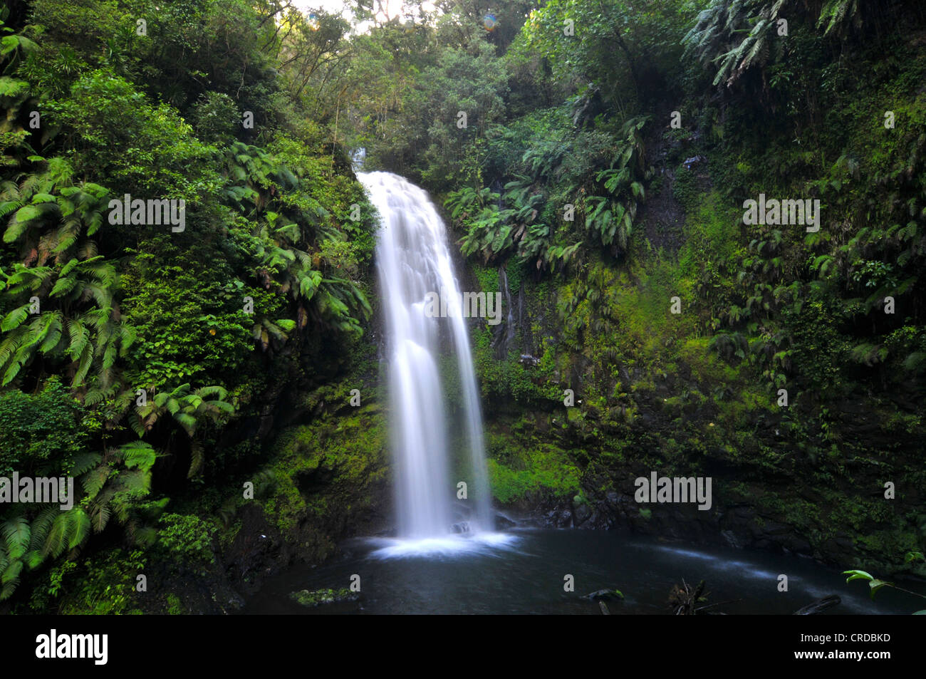 Waterfall falls waterfalls madagascar hi-res stock photography and ...