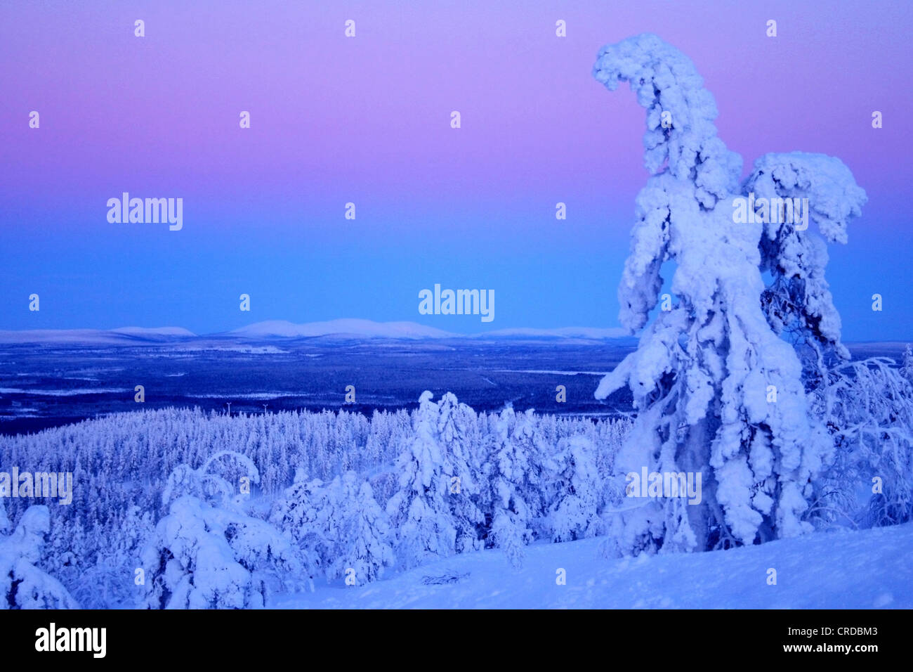 Eventide at Fell Levi, Finland, Lapland, Kittilae Stock Photo - Alamy