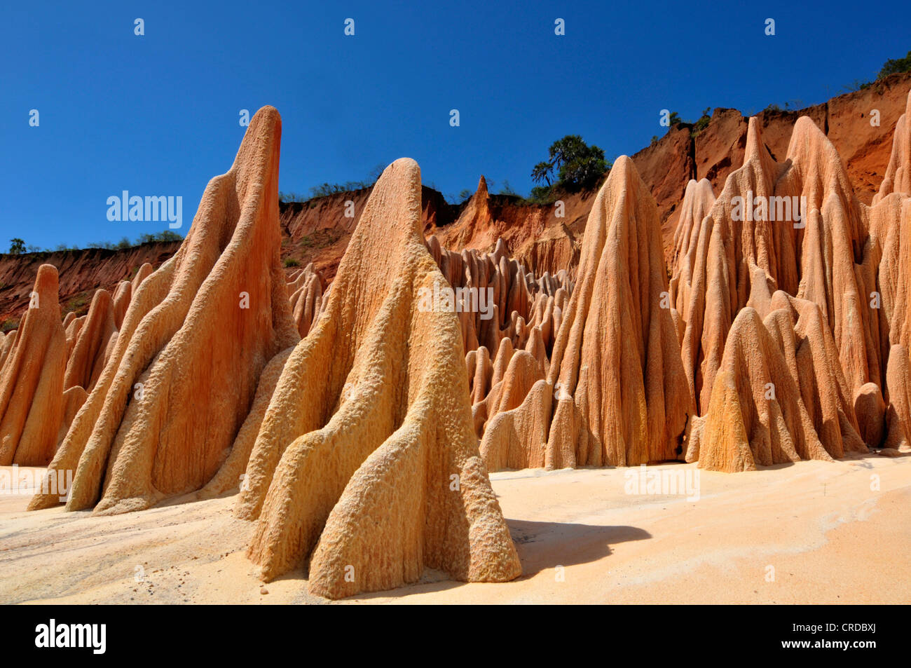 Tsingy rock formations in hi-res stock photography and images - Alamy