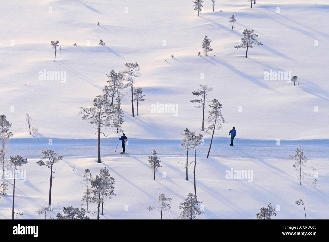 Photographed from air. Winter forest and skiers, Finland, Lapland ...