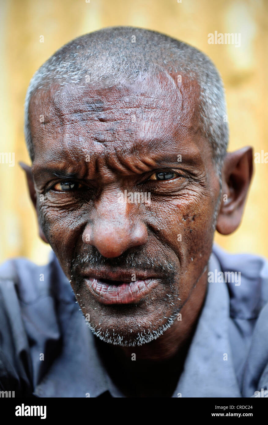 Portrait of an elderly man with a grim look, probably of Indian origin ...