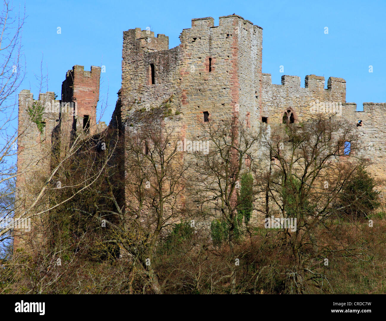 Ludlow Castle, Ludlow, Shropshire, England, Europe Stock Photo - Alamy