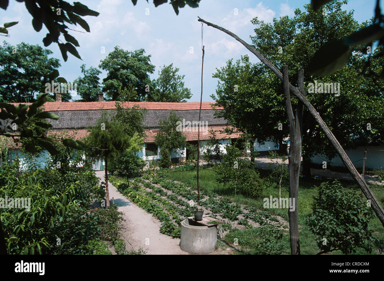 farmhouse at Bugac Puszta, Hungary Stock Photo - Alamy