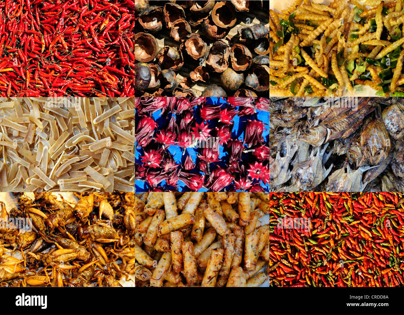 Grasshoppers, worms, chili, fish, spring rolls, typical foods of ...
