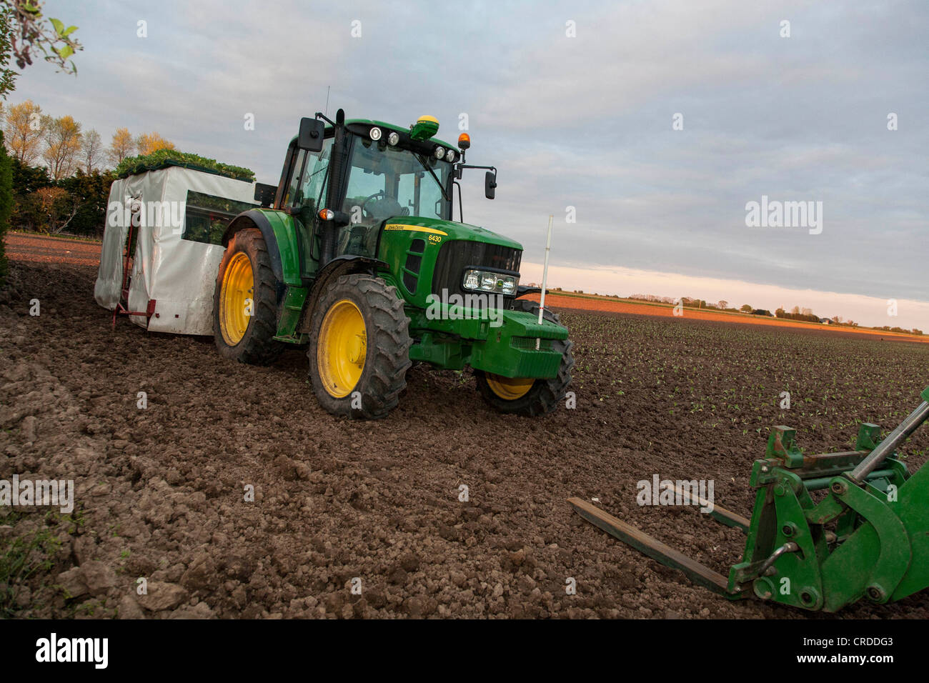 Cabbage planting Tractor Stock Photo - Alamy