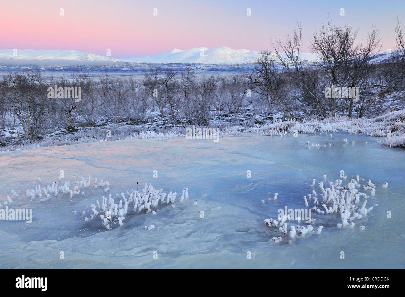 winter scenery in the Abisko Nationalpark, Sweden, Lapland, Norrbotten ...