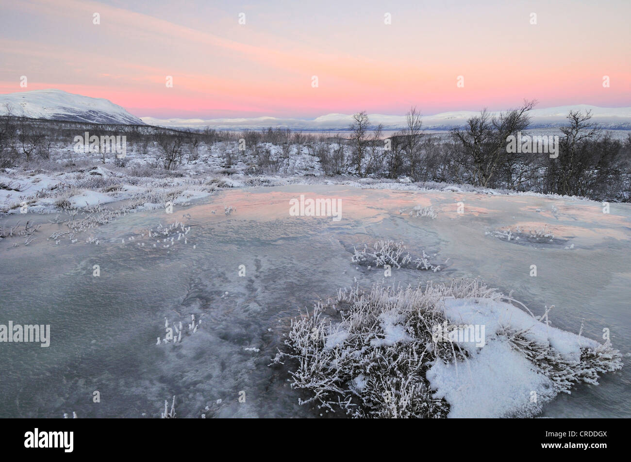 Norrbotten mcphoto hi-res stock photography and images - Alamy