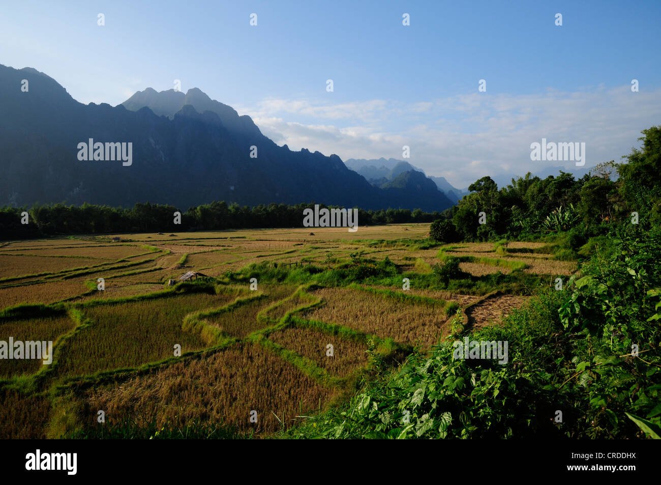 Rice fields and karst mountains in the east of Vang Vieng, Laos ...