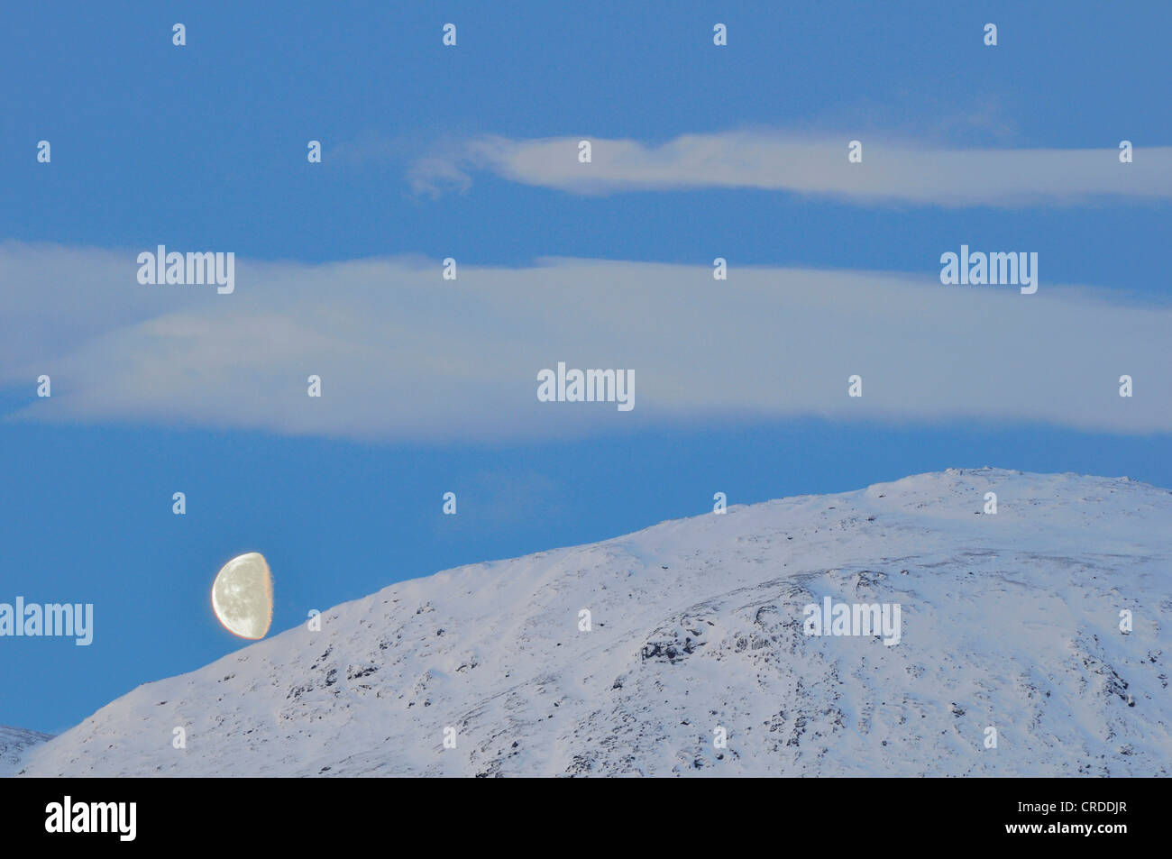 Swedish phase hi-res stock photography and images - Alamy