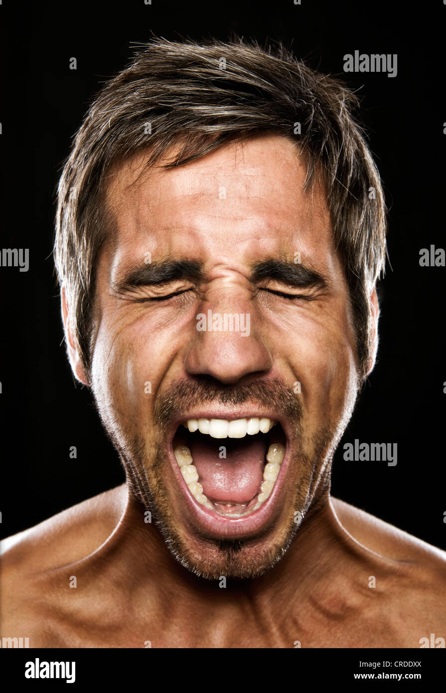 Young man screaming, portrait Stock Photo - Alamy Young man screaming, portrait Stock Photo - Alamy