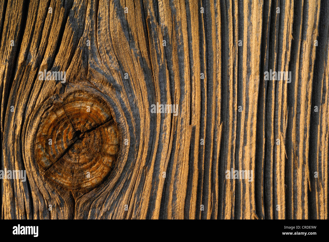 Wood with knotholes hi-res stock photography and images - Alamy