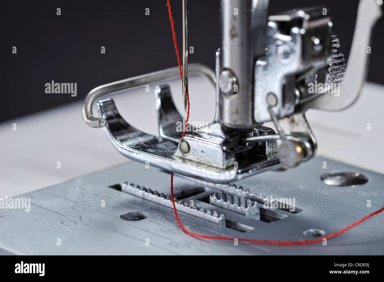 Sewing machine with presser foot and needle plate Stock Photo - Alamy