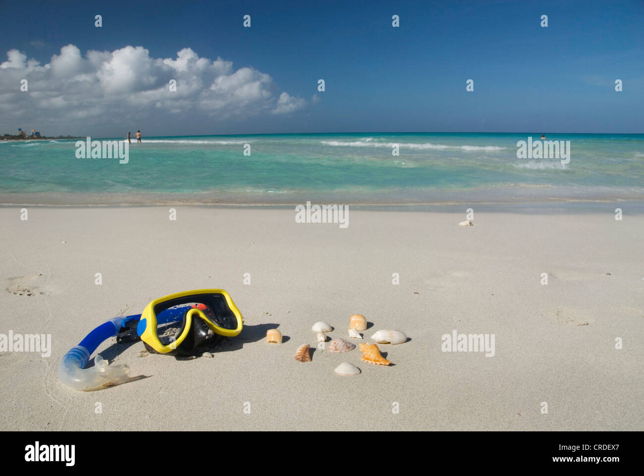 Diving goggles and mussel shells on the beach hi-res stock photography ...