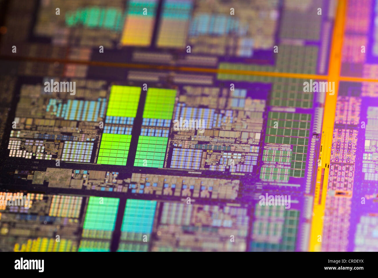 Computer chips side by side on a wafer Stock Photo - Alamy