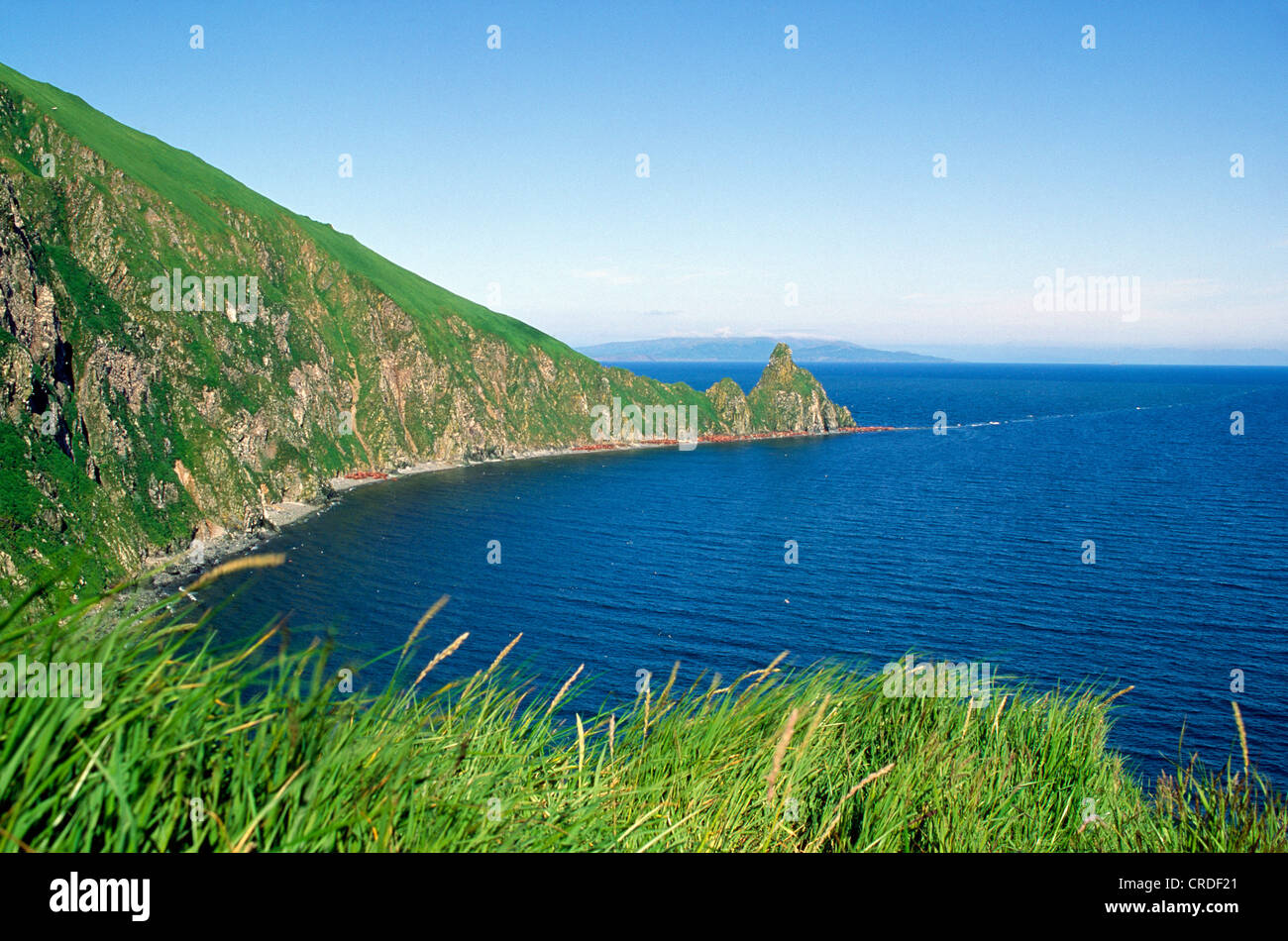 ROUND ISLAND STATE WALRUS SANTUARY, SHOWING ROCKY CLIFFS, GRASS AND ...
