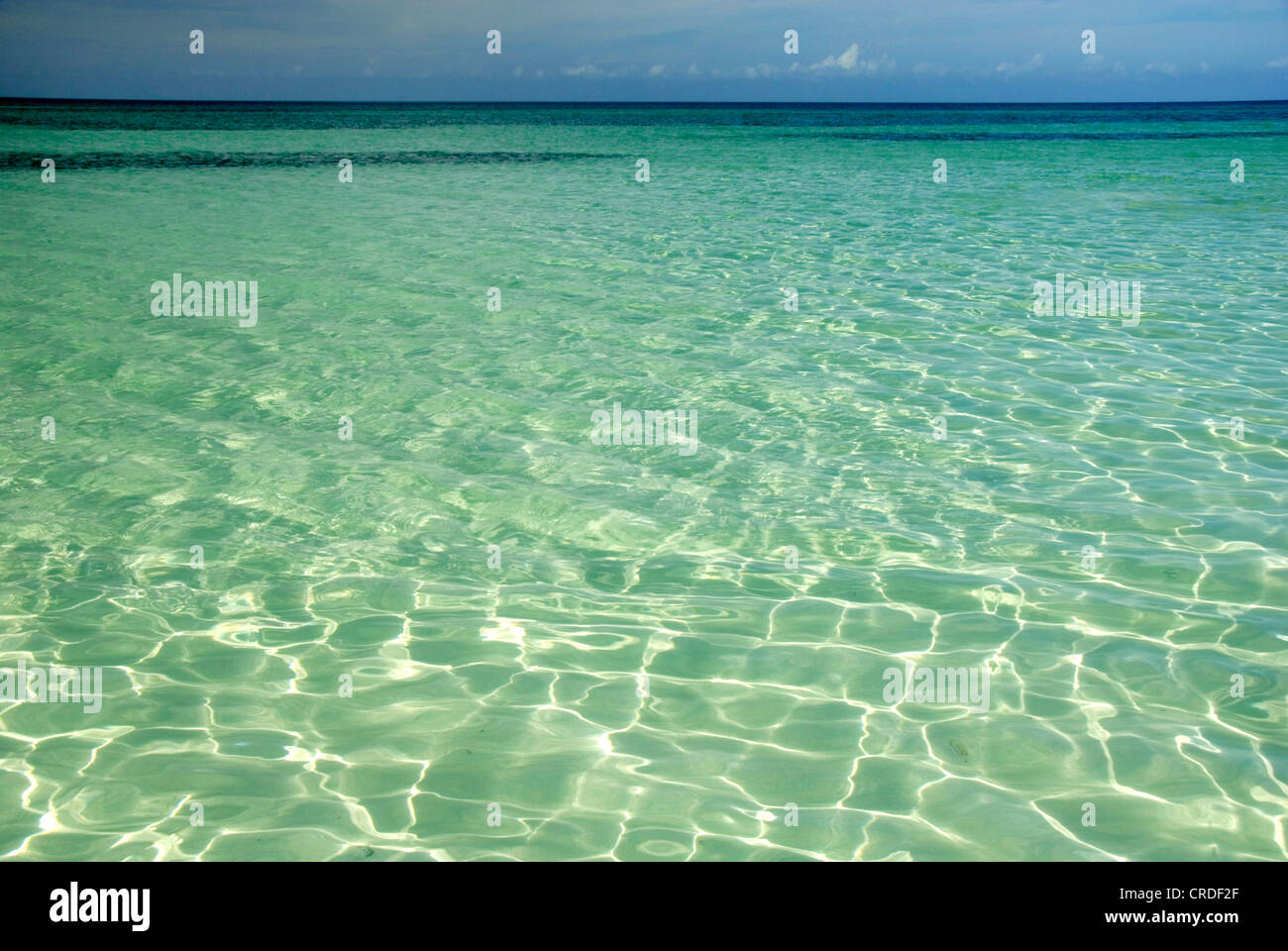 claer sea, Cuba, Caribbean Sea, Cayo Blanco Stock Photo - Alamy