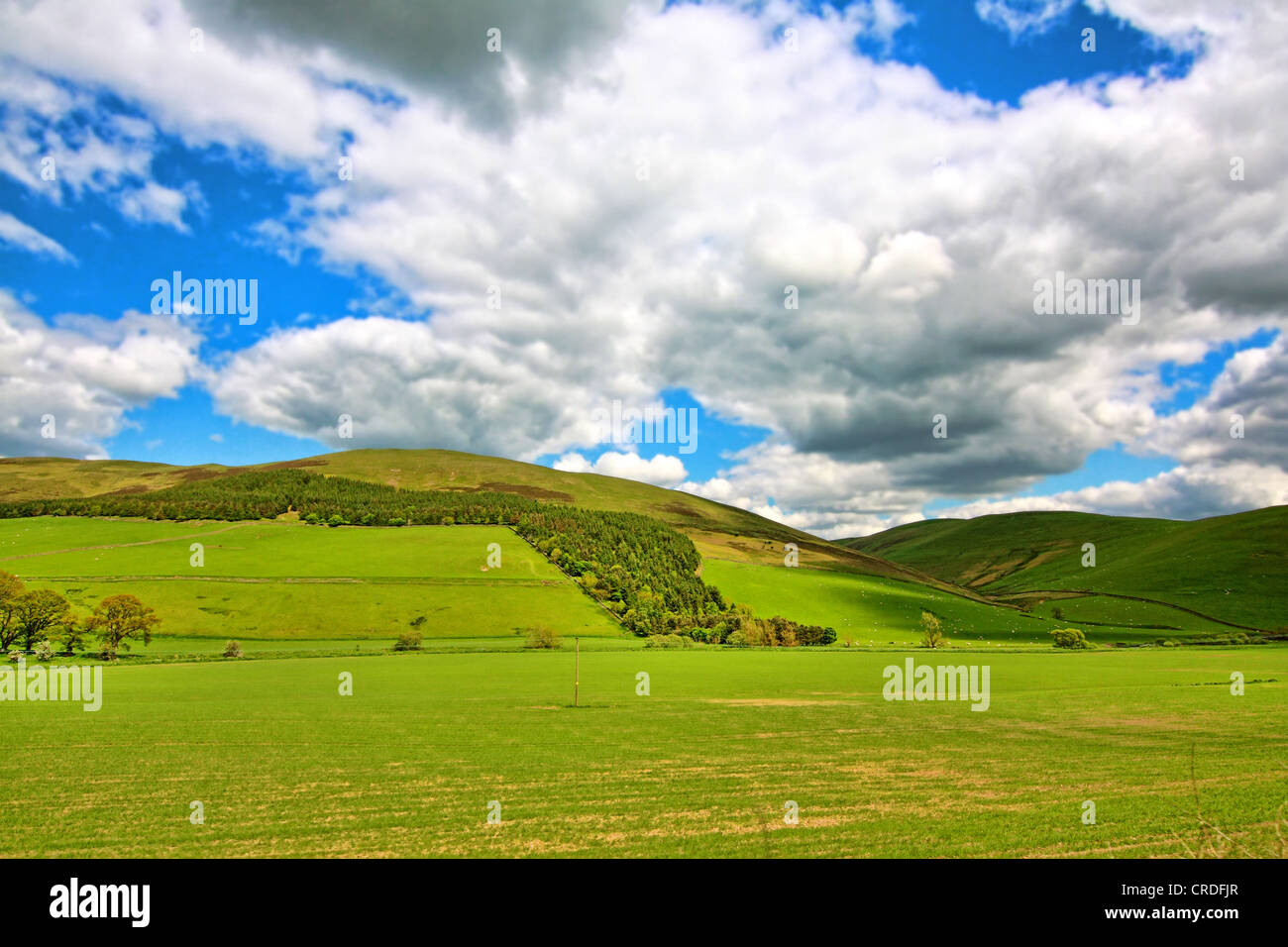 Scottish Spring landscape with hills, blue sky and white clouds Stock ...