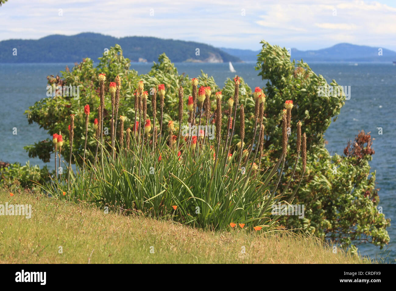 Pender island hi-res stock photography and images - Alamy