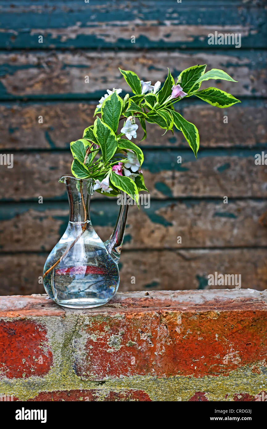 A branch of Spring flowers in a glass vase Stock Photo - Alamy