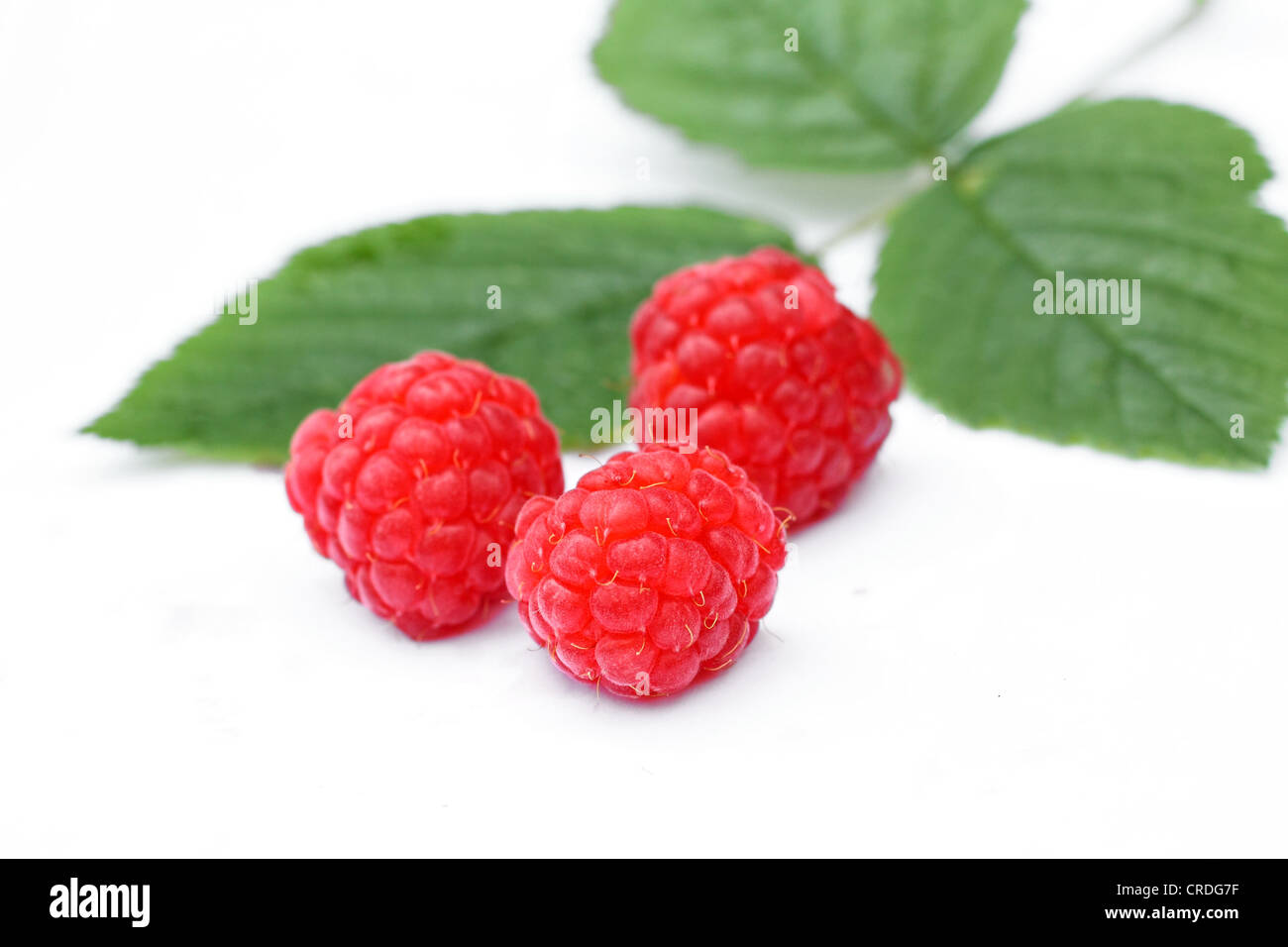 Ripe raspberries on white background Stock Photo - Alamy