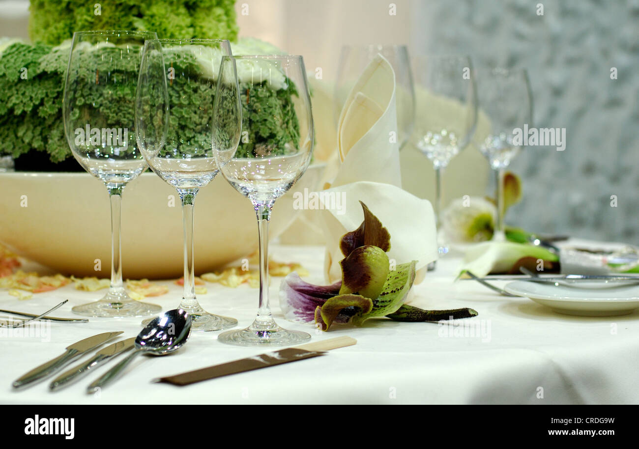 Lavish dinner party hi-res stock photography and images - Alamy