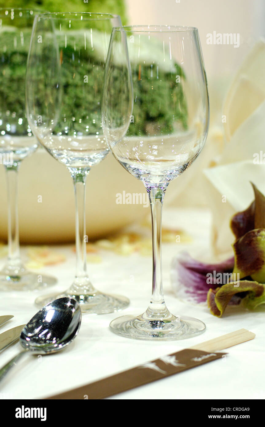 Lavish dinner party hi-res stock photography and images - Alamy