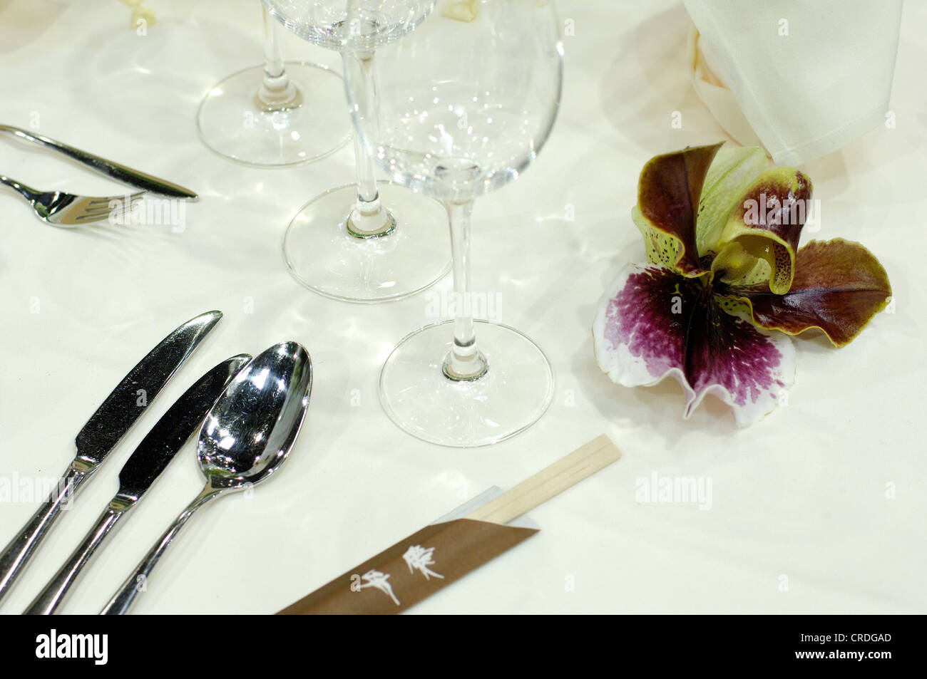Lavish dinner party hi-res stock photography and images - Alamy