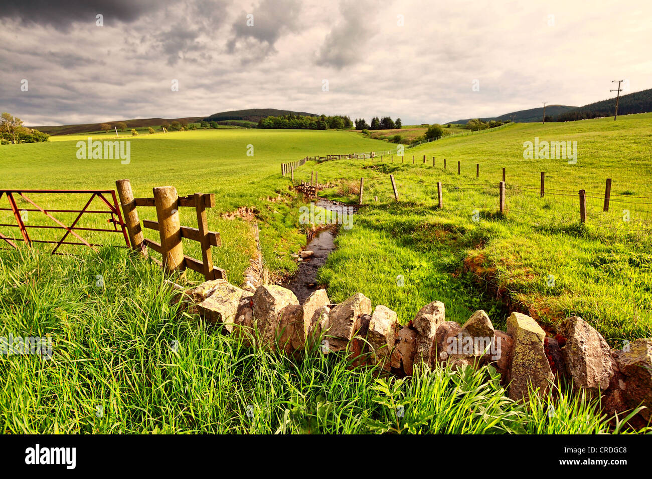 Spring rural landscape with stone wall and wooden fence, Scotland Stock ...