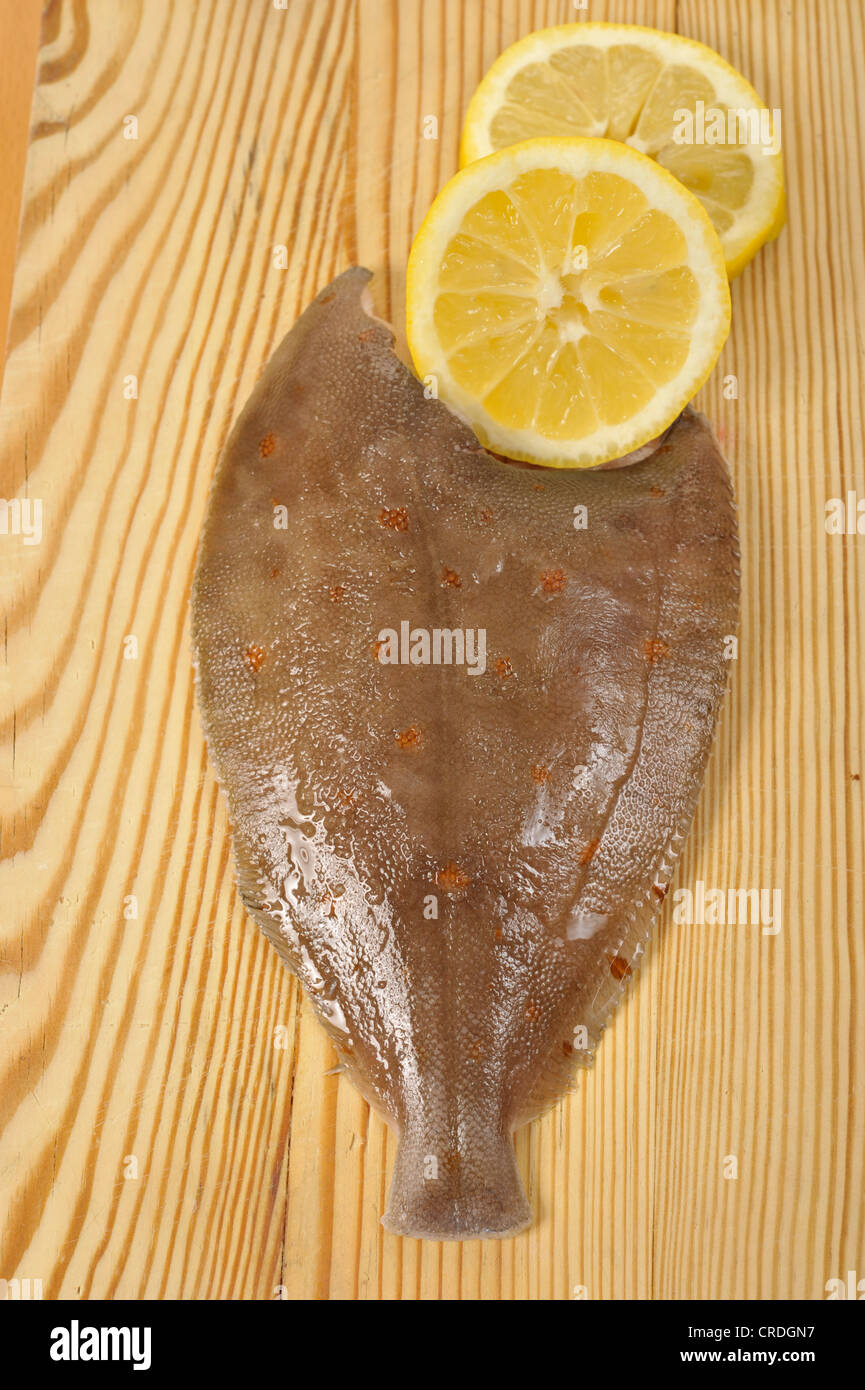 Plaice with lemon slices Stock Photo - Alamy