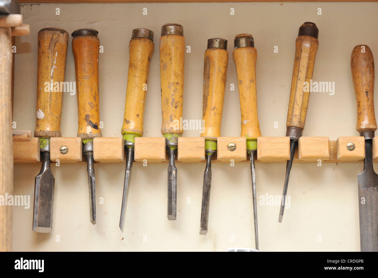 Different species entirely hi-res stock photography and images - Alamy