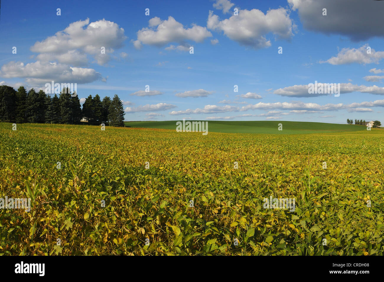 Wisconsin landscape hi-res stock photography and images - Alamy