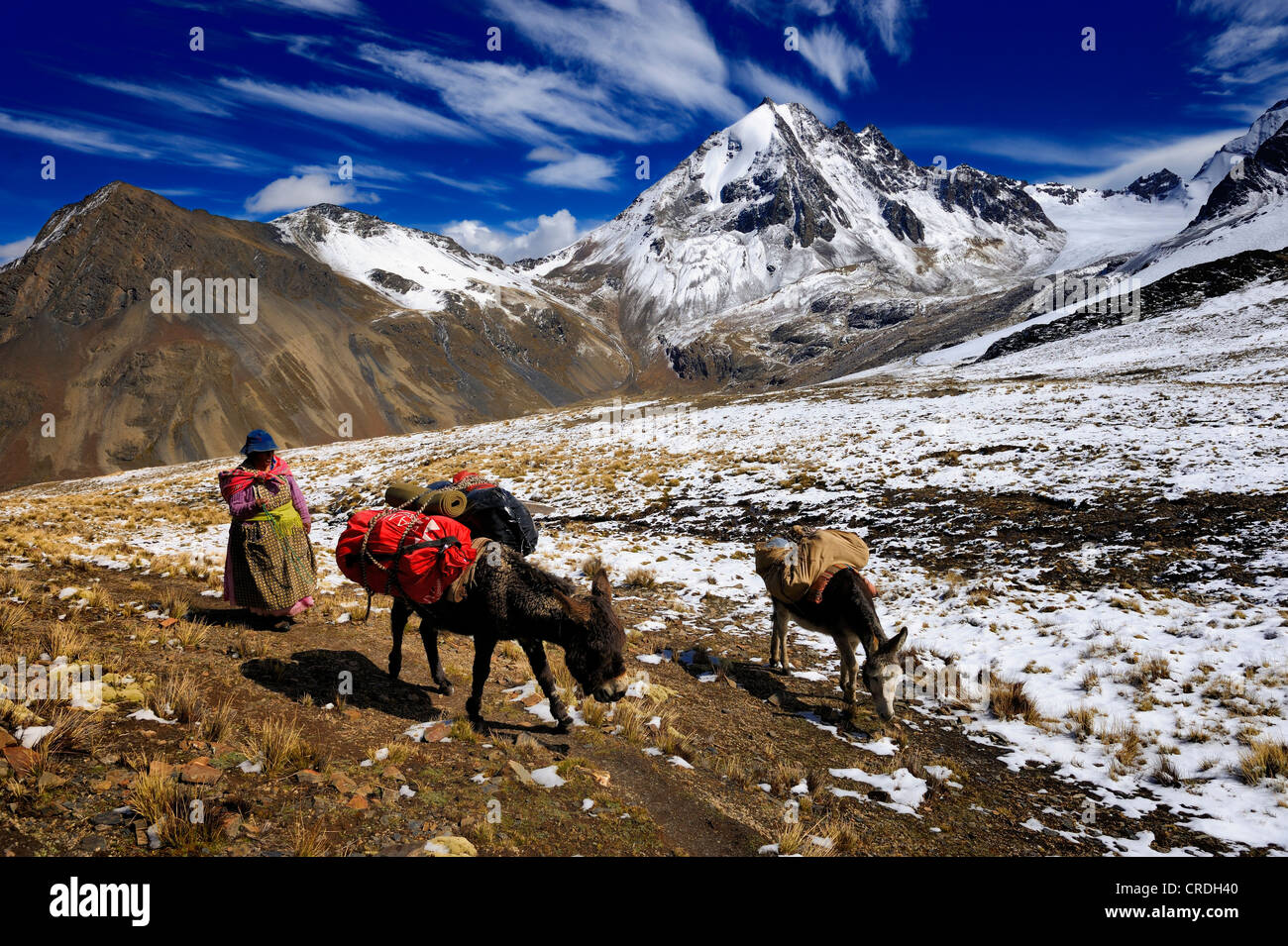 Snow-covered Andes Mountains with a high plateau and an Indian women ...