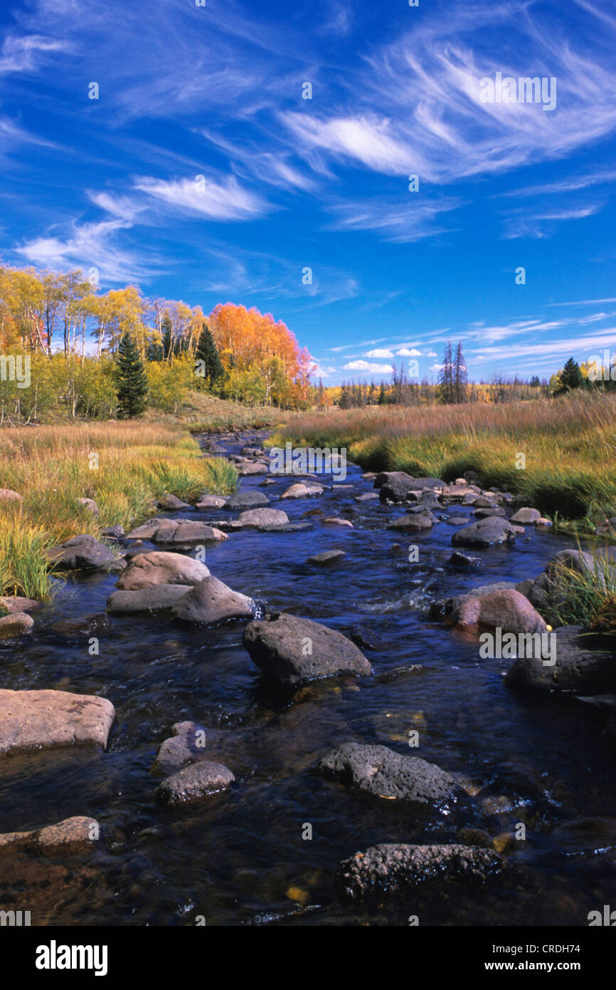 Utah mcphoto vertical format hi-res stock photography and images - Alamy