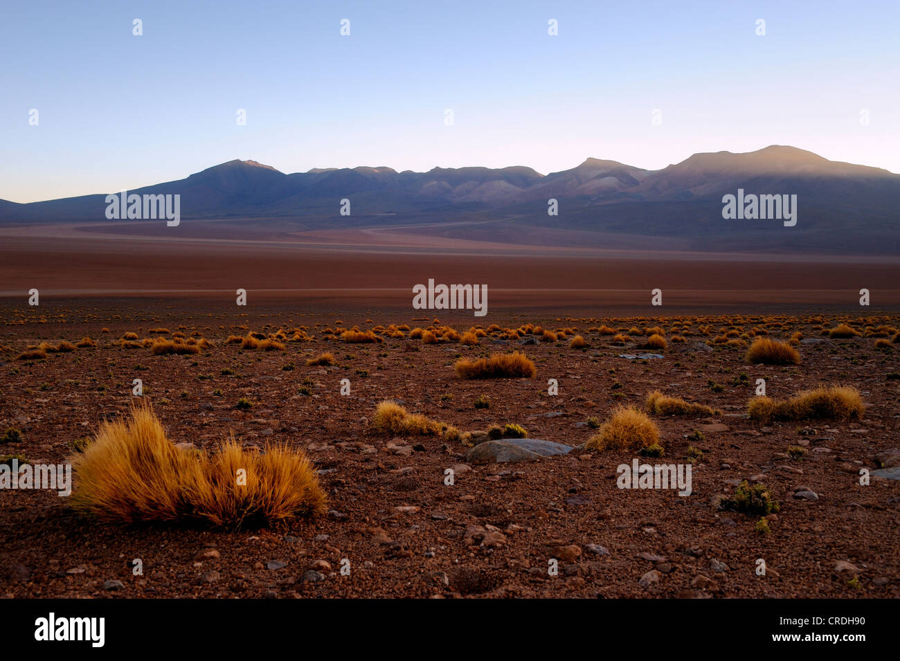 Bolivia desert landscape hi-res stock photography and images - Alamy