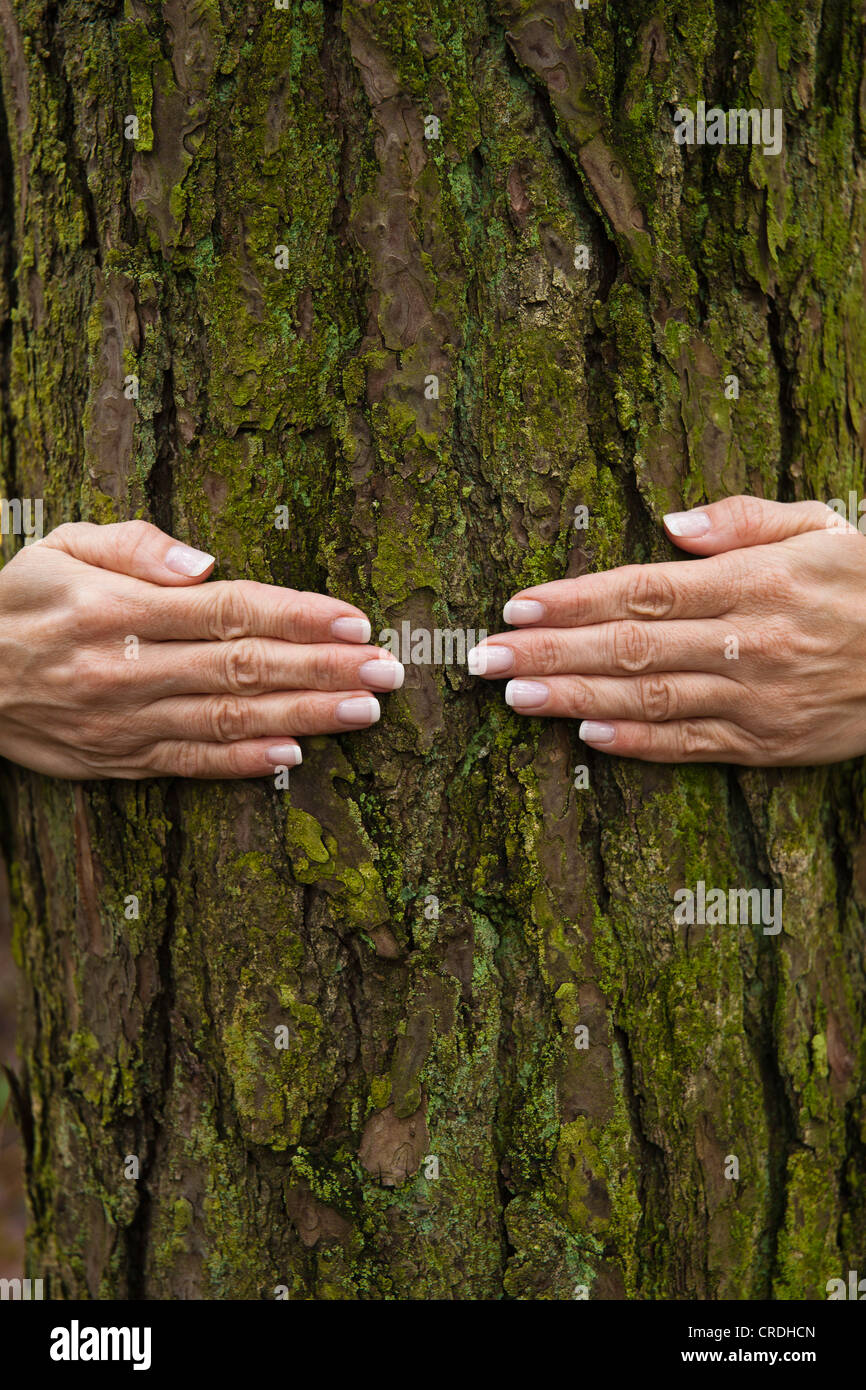 Hands on a tree trunk Stock Photo - Alamy