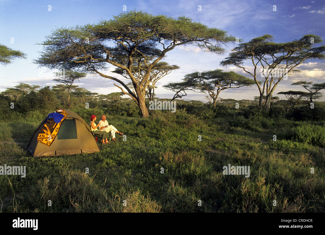 Ndutu tanzania tanzanian hi-res stock photography and images - Alamy