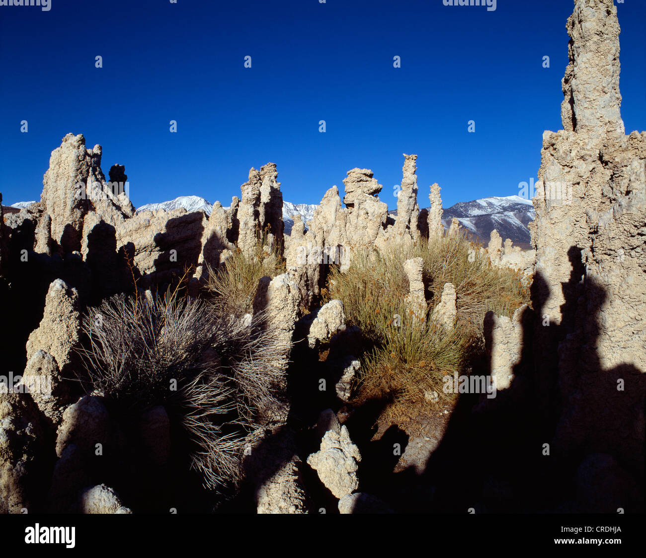TUFA TOWERS OF CALCIUM CARBONATE SPIRES AND KNOBS FORMED BY INTERACTION ...