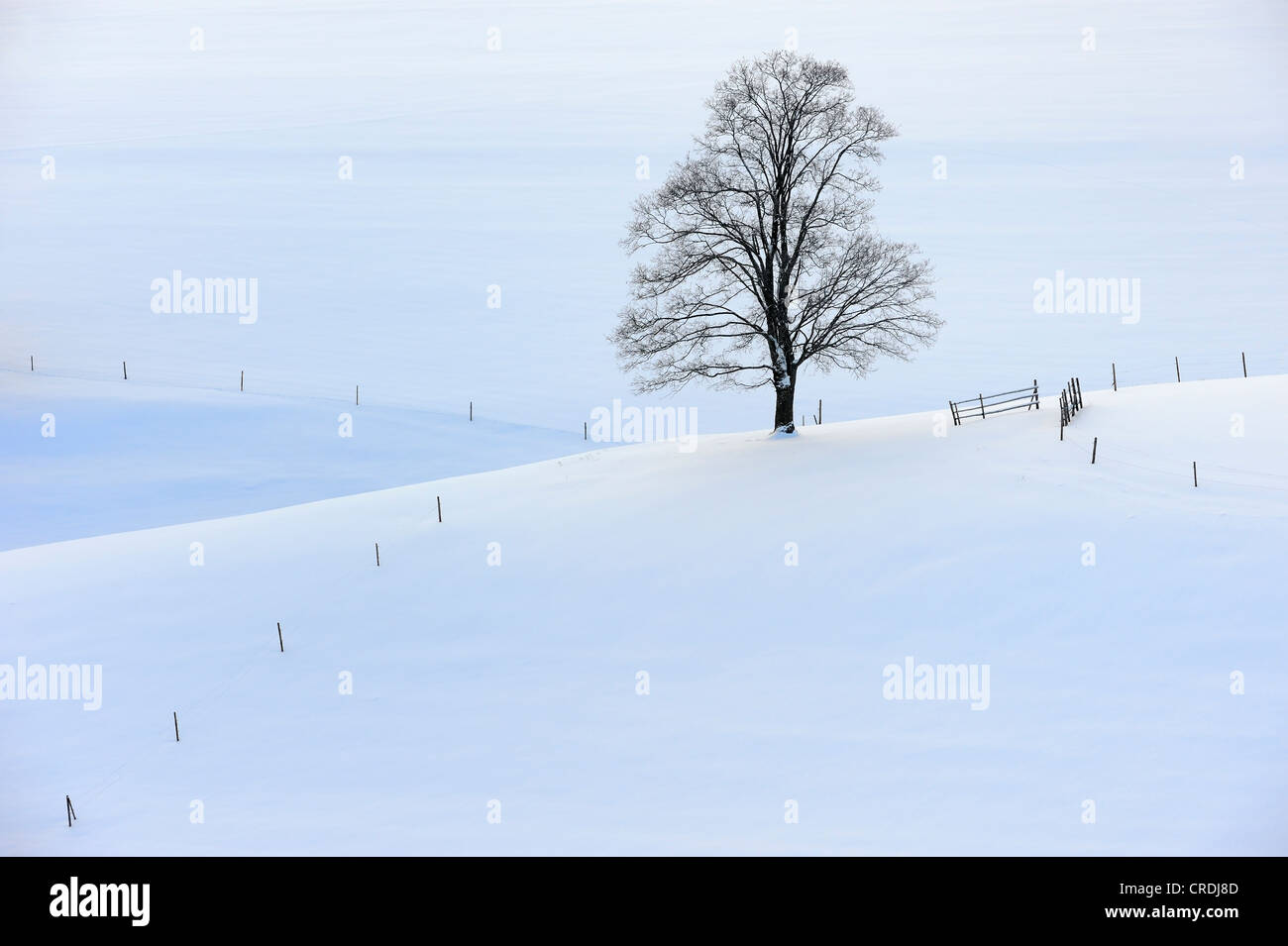 Tree covered hills hi-res stock photography and images - Alamy